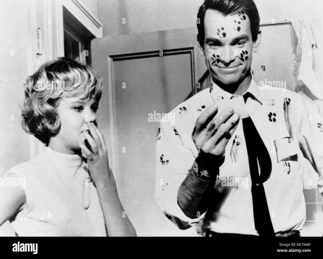 THAT DARN CAT, from left, Hayley Mills, Dean Jones, 1965 Stock Photo ...