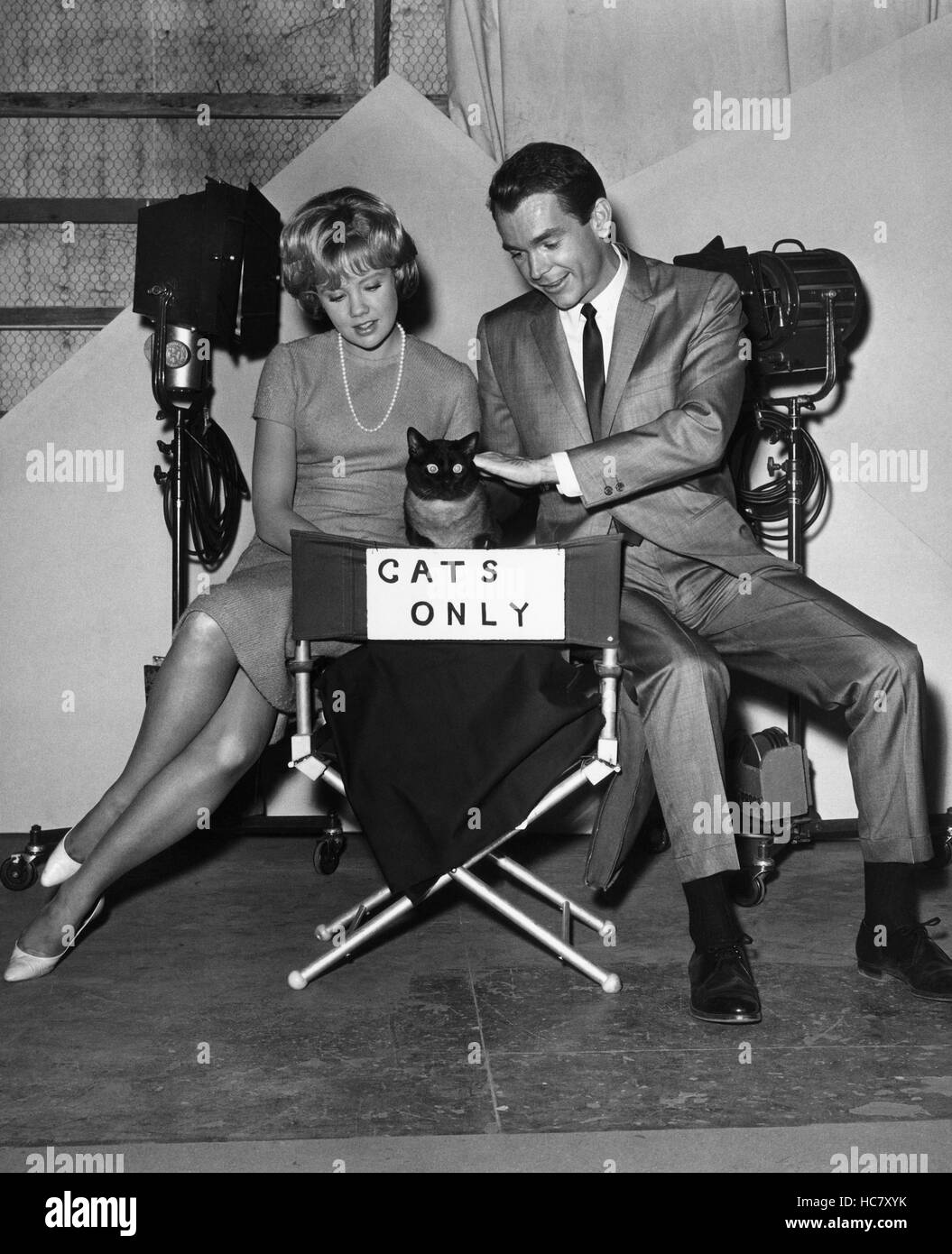 THAT DARN CAT, Hayley Mills, Dean Jones, on-set, 1965 Stock Photo - Alamy