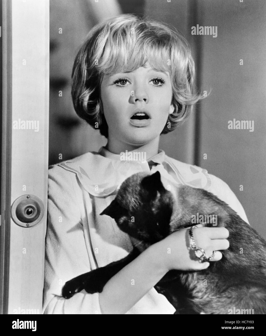 THAT DARN CAT, Hayley Mills, 1965 Stock Photo - Alamy