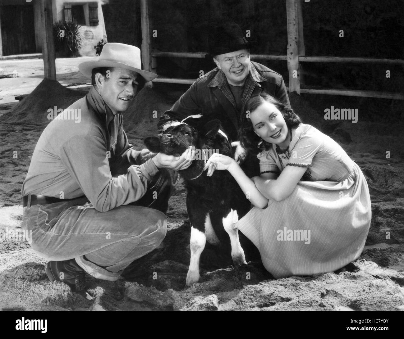 THREE FACES WEST, John Wayne, Charles Coburn, Sigrid Gurie, 1940 Stock ...