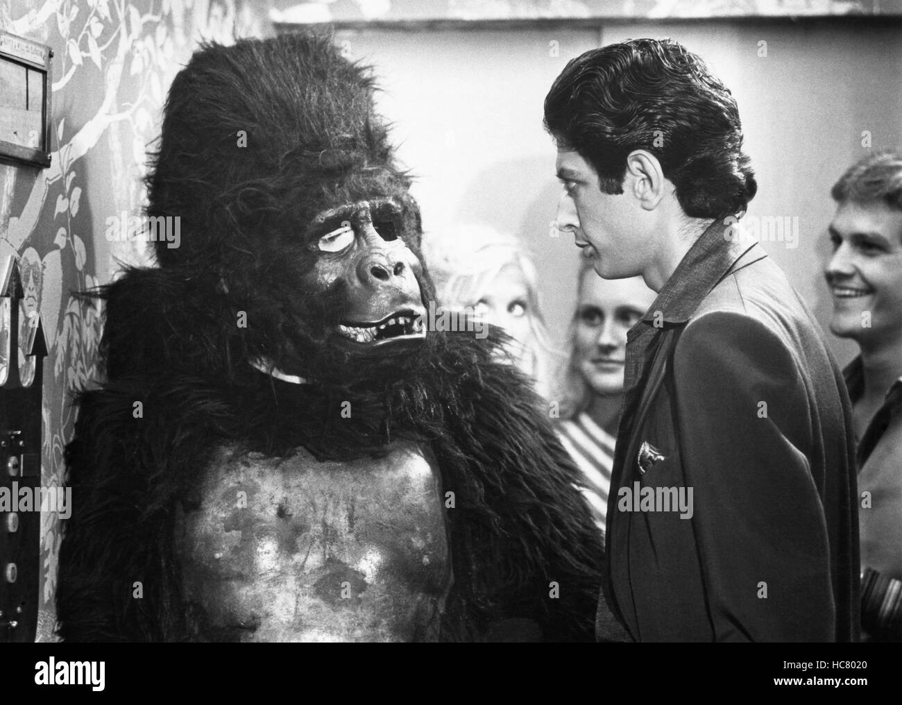 THANK GOD IT'S FRIDAY, Jeff Goldblum (right), 1978, (c) Columbia ...