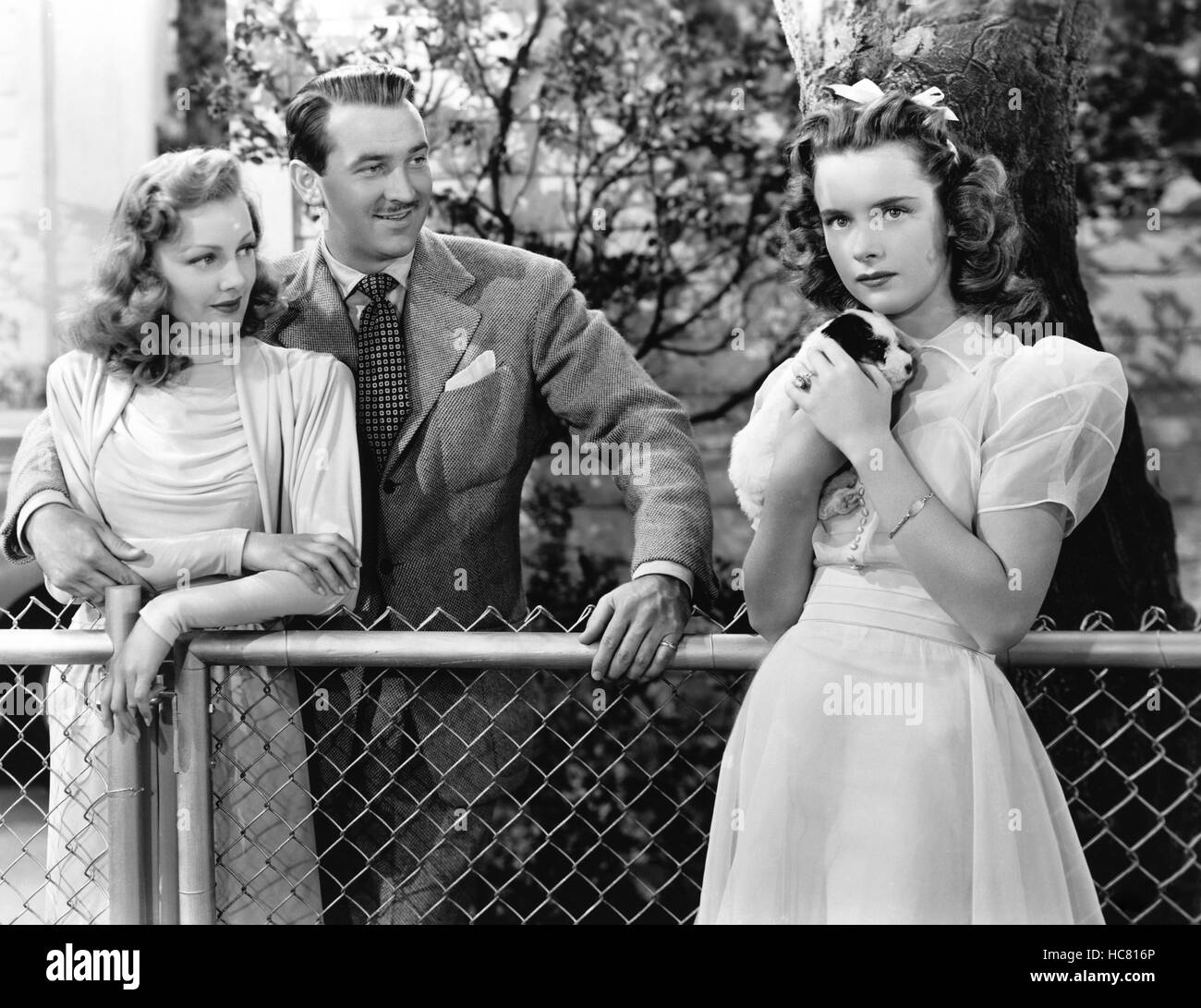 TISH, from left: Virginia Grey, Lee Bowman, Susan Peters, 1942 Stock ...