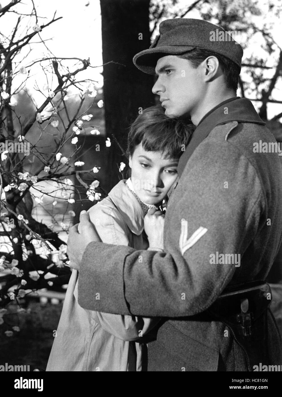 A TIME TO LOVE AND A TIME TO DIE, Lilo Pulver, John Gavin, 1958 Stock ...