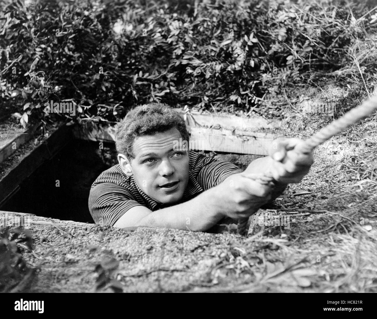 THE TRUTH ABOUT SPRING, James MacArthur, 1964 Stock Photo - Alamy