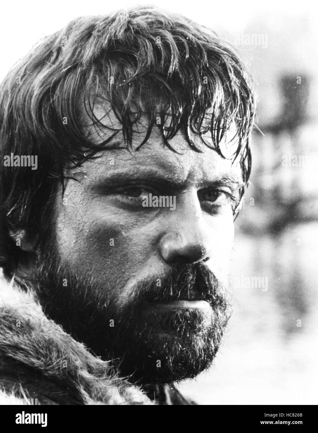 THE TRAP, Oliver Reed, 1966 Stock Photo - Alamy