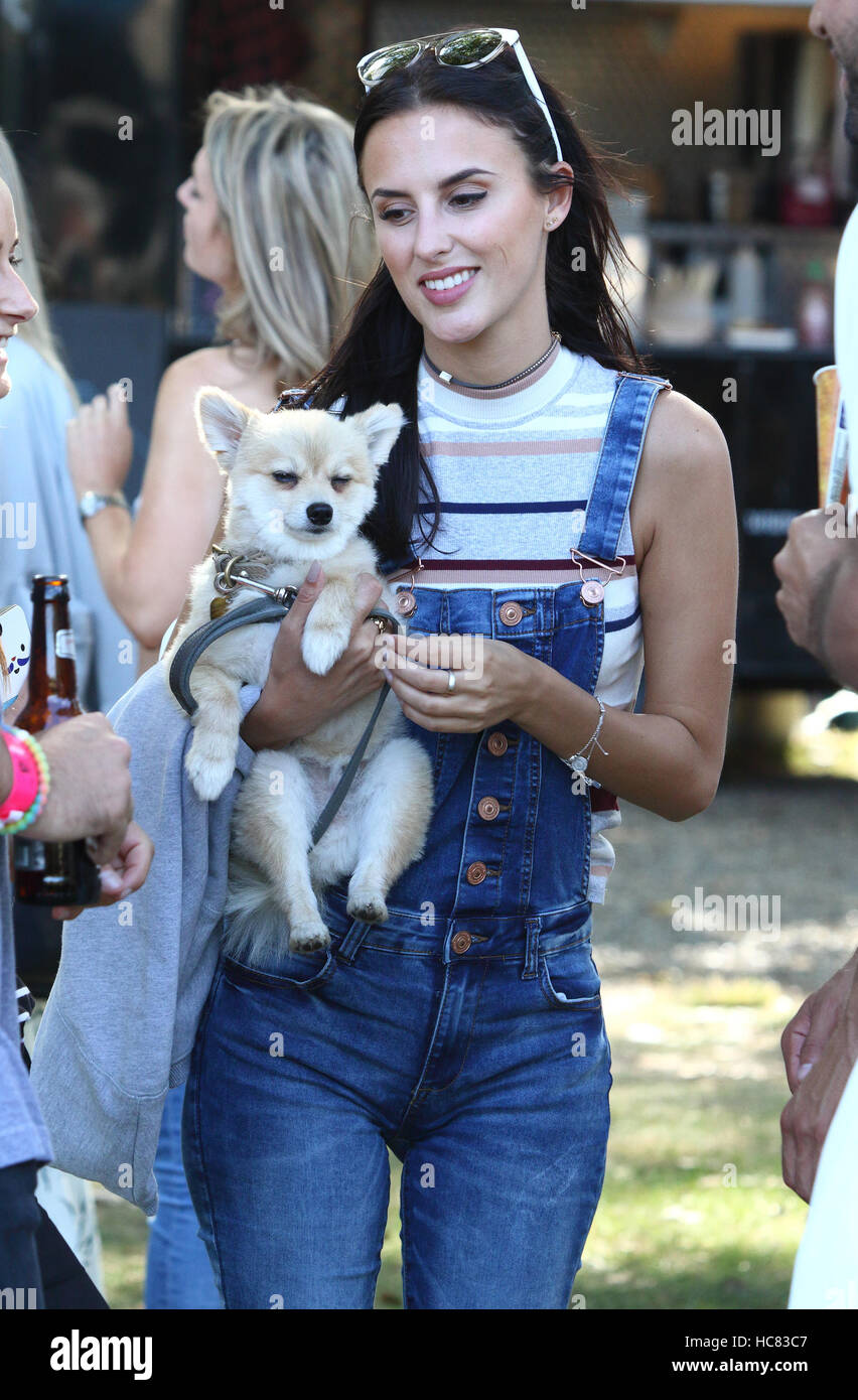 Raffles vs Bodos Cricket and Summer Party at Burton Court, Chelsea ...