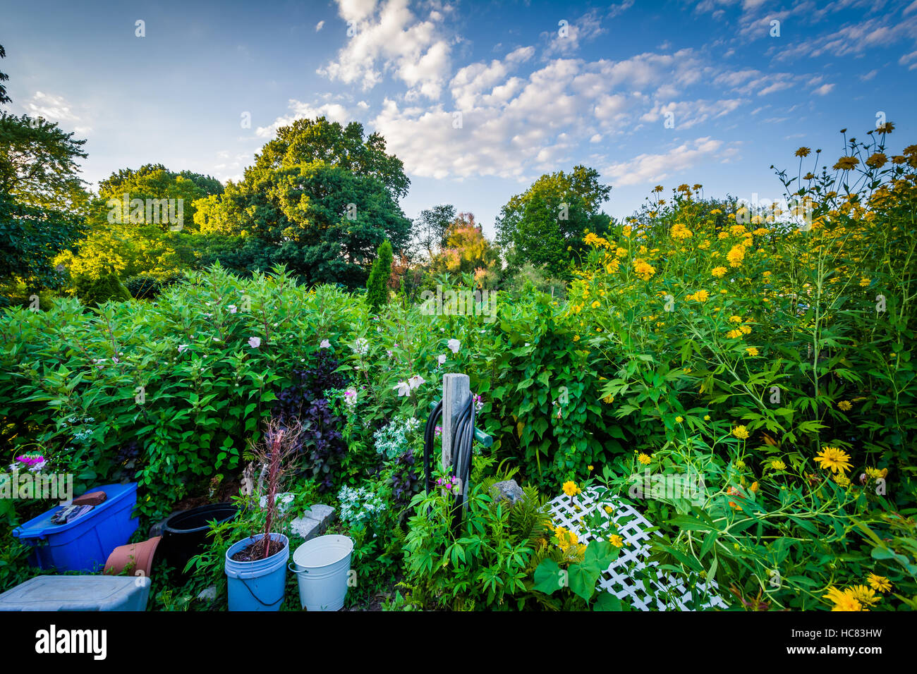 Back bay fens hi-res stock photography and images - Alamy