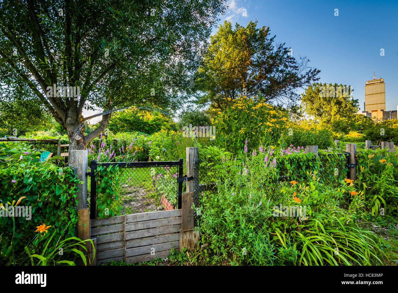 Back bay fens hi-res stock photography and images - Alamy
