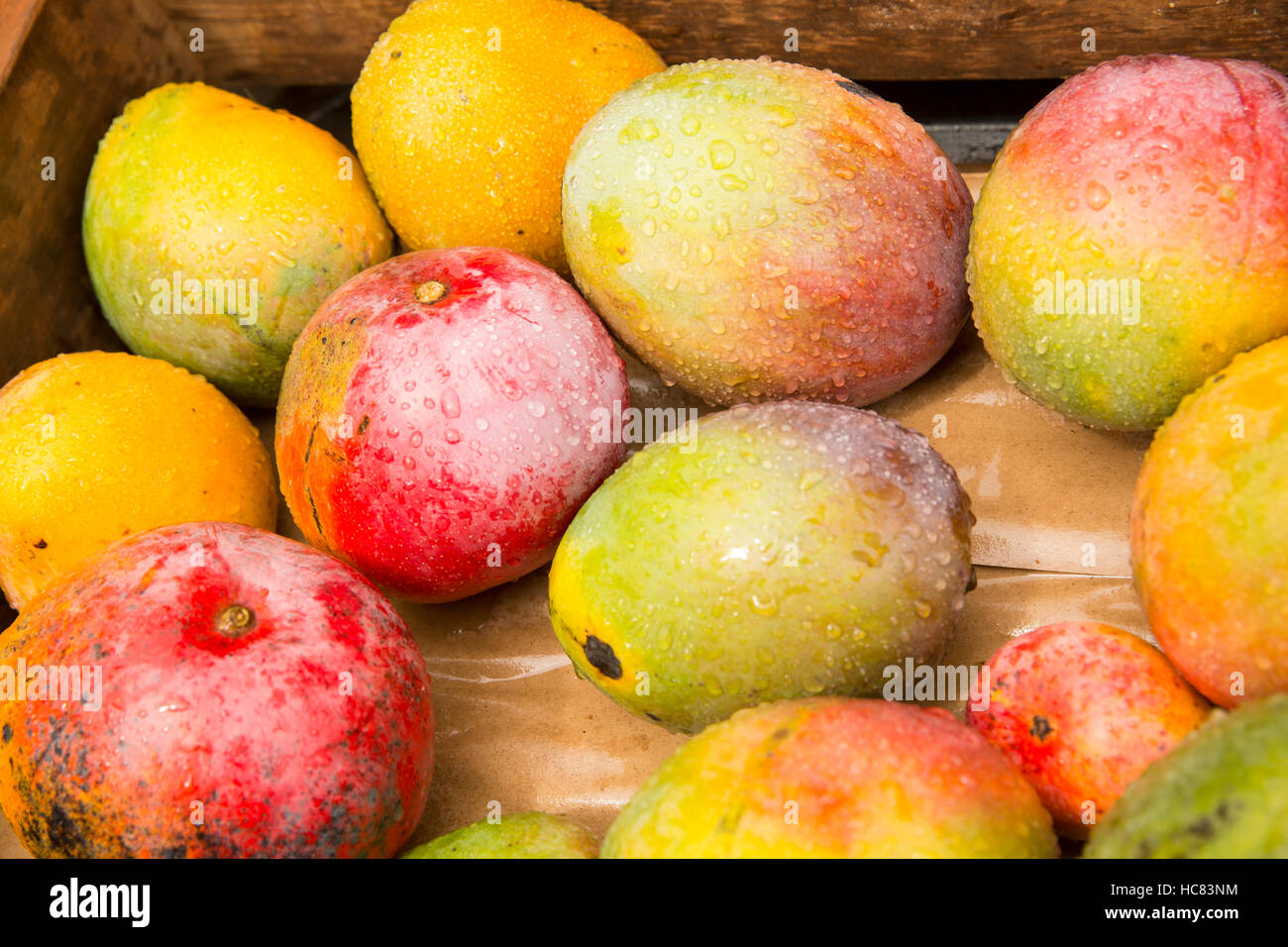 Fresh mangoes at Hawaiian farmer's market Stock Photo - Alamy