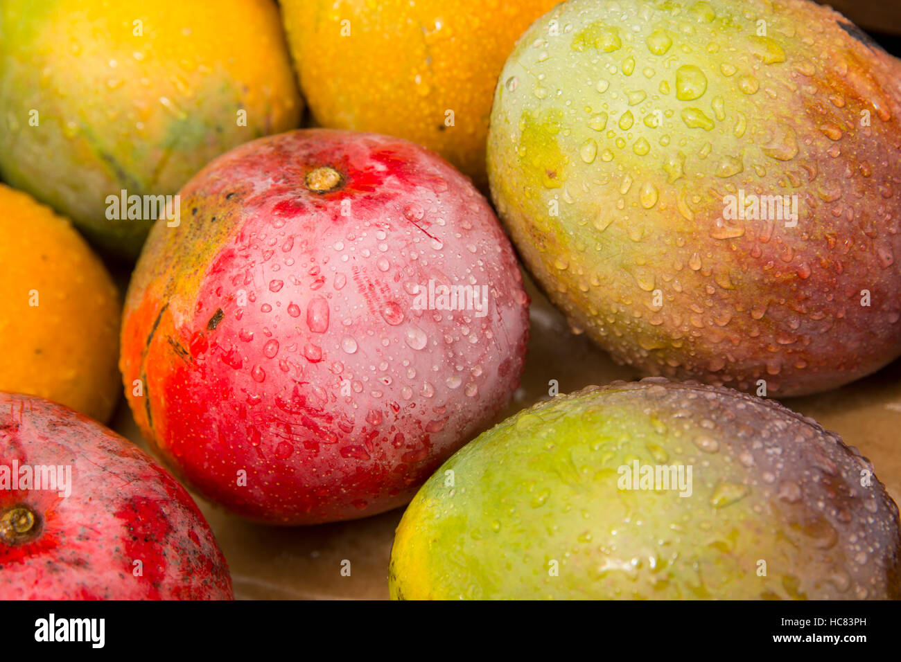 Fresh mangoes at Hawaiian farmer's market Stock Photo - Alamy