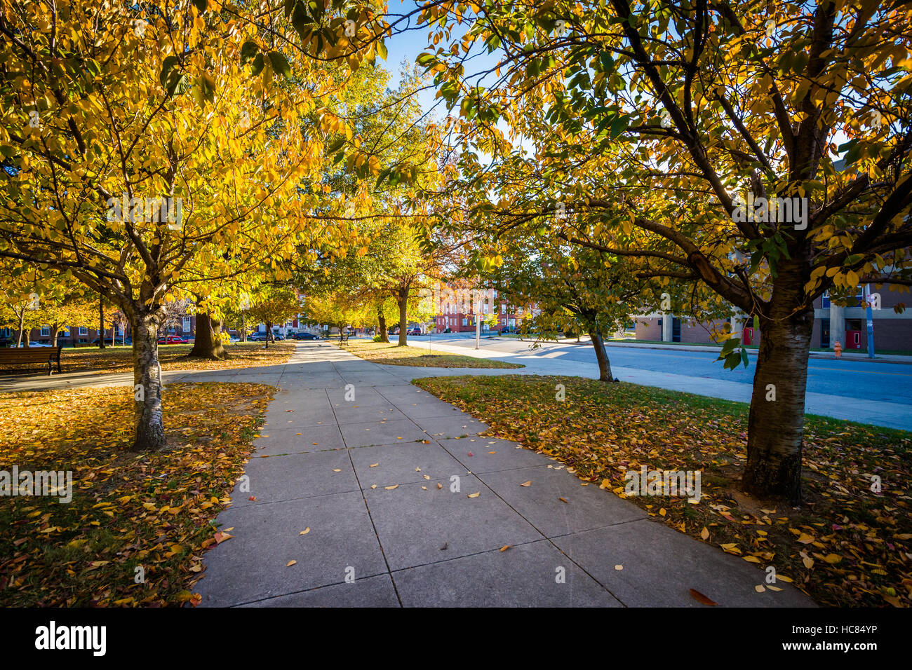 Walkway and autumn color at Franklin Square Park, in Baltimore ...