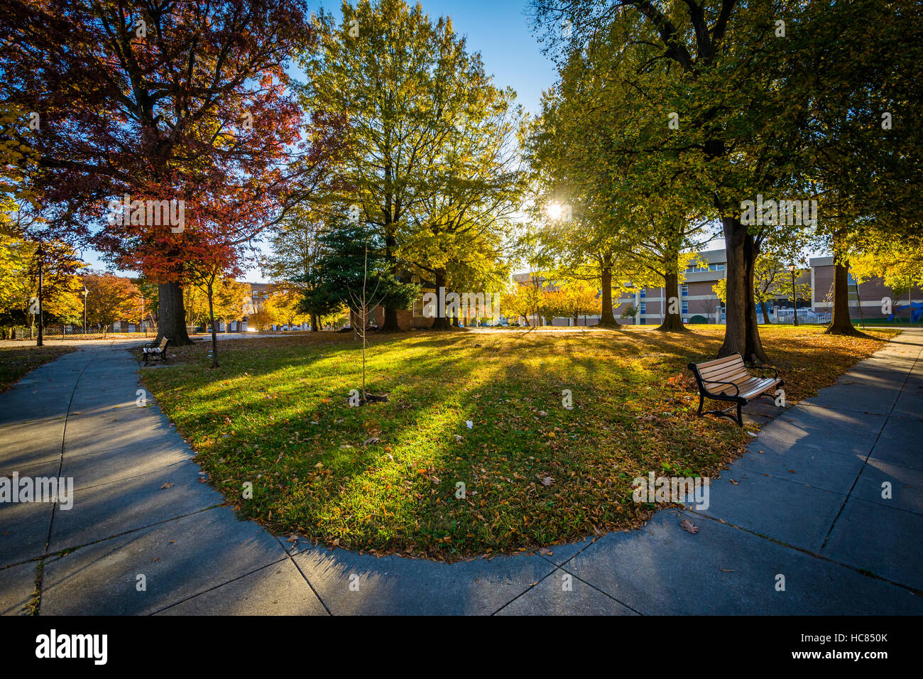 Walkway and autumn color at Franklin Square Park, in Baltimore ...