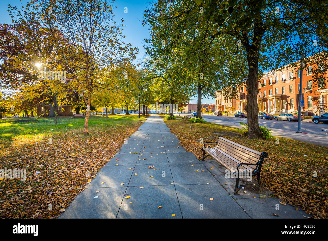 Walkway and autumn color at Franklin Square Park, in Baltimore ...