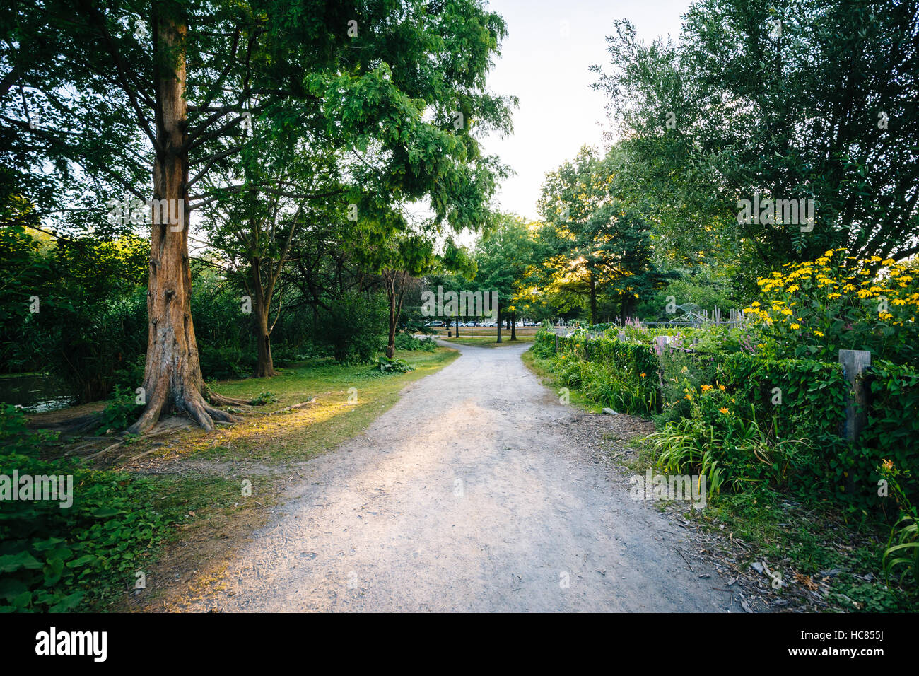Back bay fens hi-res stock photography and images - Alamy