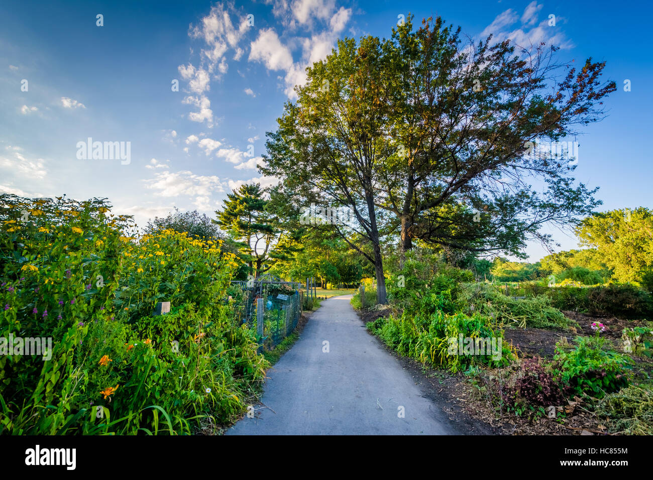 Back bay fens hi-res stock photography and images - Alamy
