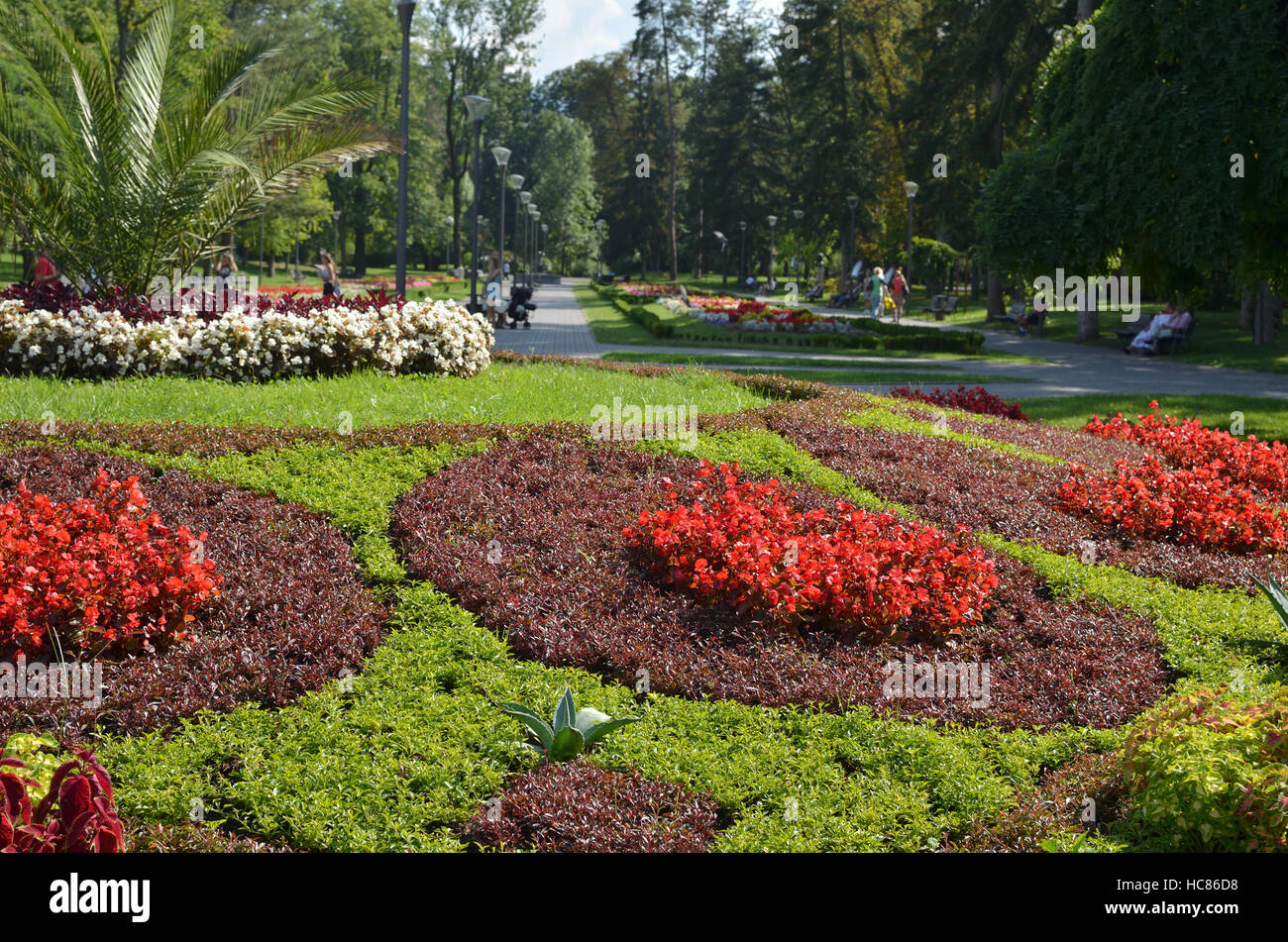 Park with with colorful flowers and trees in summertime Stock Photo - Alamy
