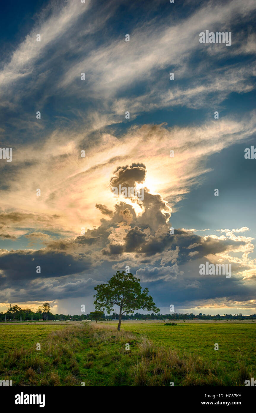 African landscape rain clouds storm weather cloudy Stock Photo - Alamy