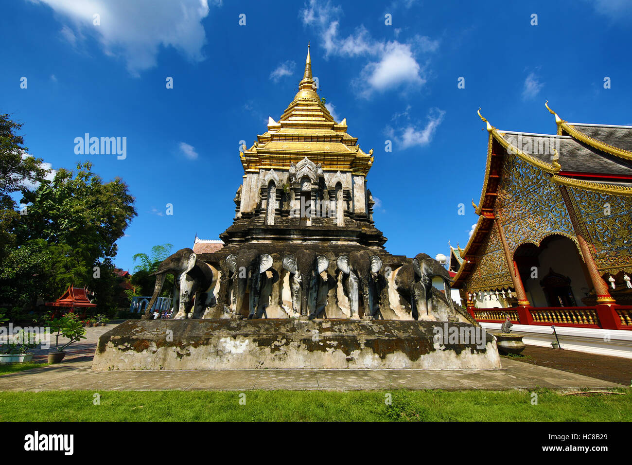 Wat Chiang Man Temple in Chiang Mai, Thailand Stock Photo - Alamy