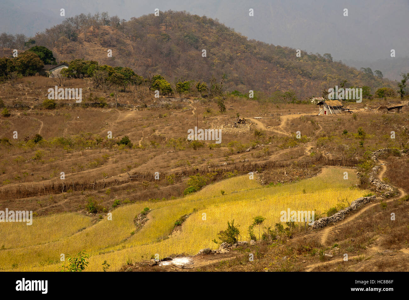 Kumaon village hi-res stock photography and images - Alamy