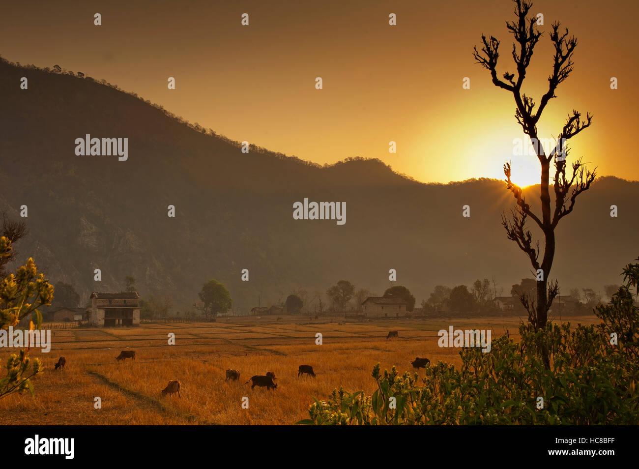 Kumaon village hi-res stock photography and images - Alamy