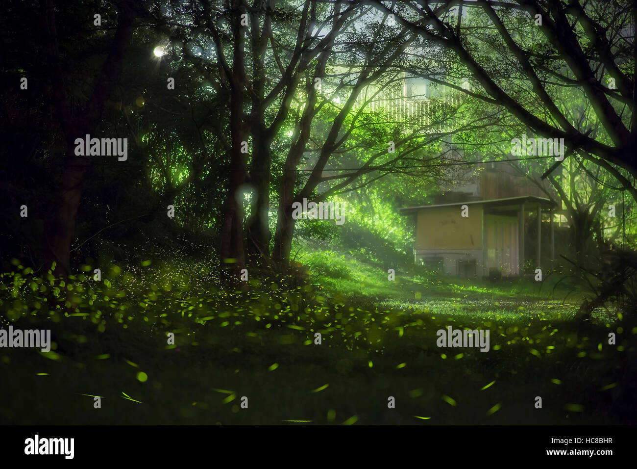 Dreamy Fireflies and a house, photo taken at Taipei, Taiwan Stock Photo ...
