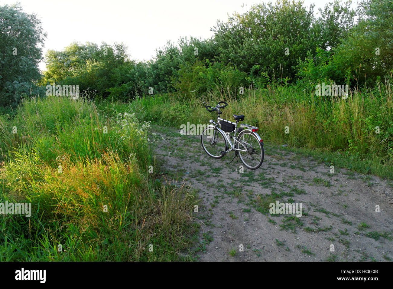 bicycle on the overgrown country road Stock Photo - Alamy