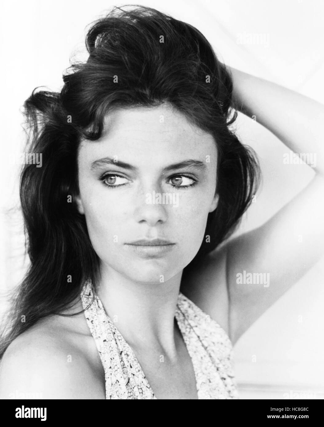 THE THIEF WHO CAME TO DINNER, Jacqueline Bisset, 1973 Stock Photo - Alamy