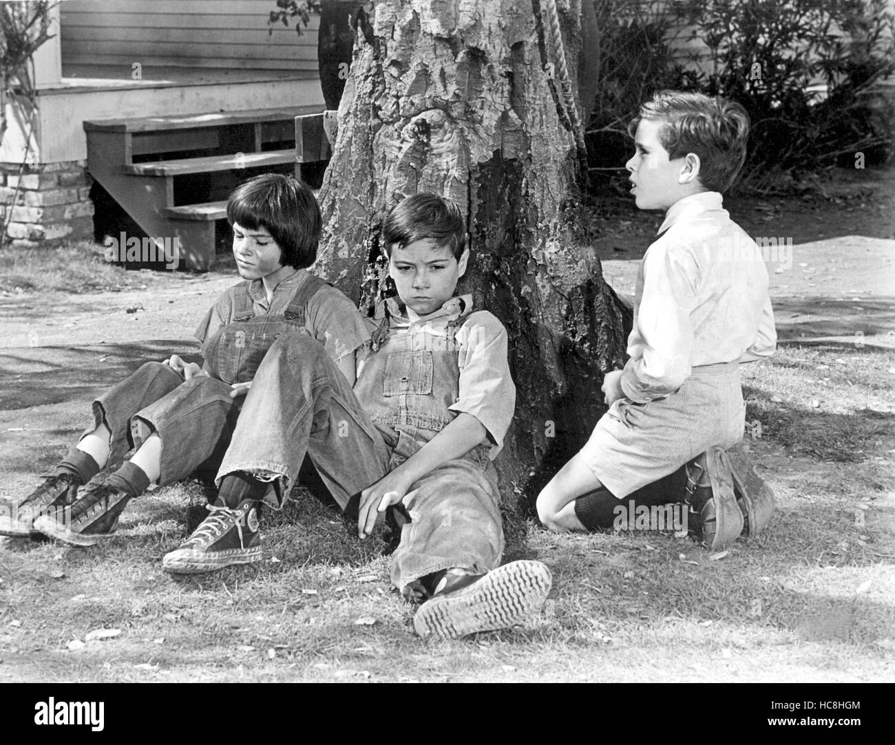 TO KILL A MOCKINGBIRD, Mary Badham, Philip Alford, John Megna, 1962 ...
