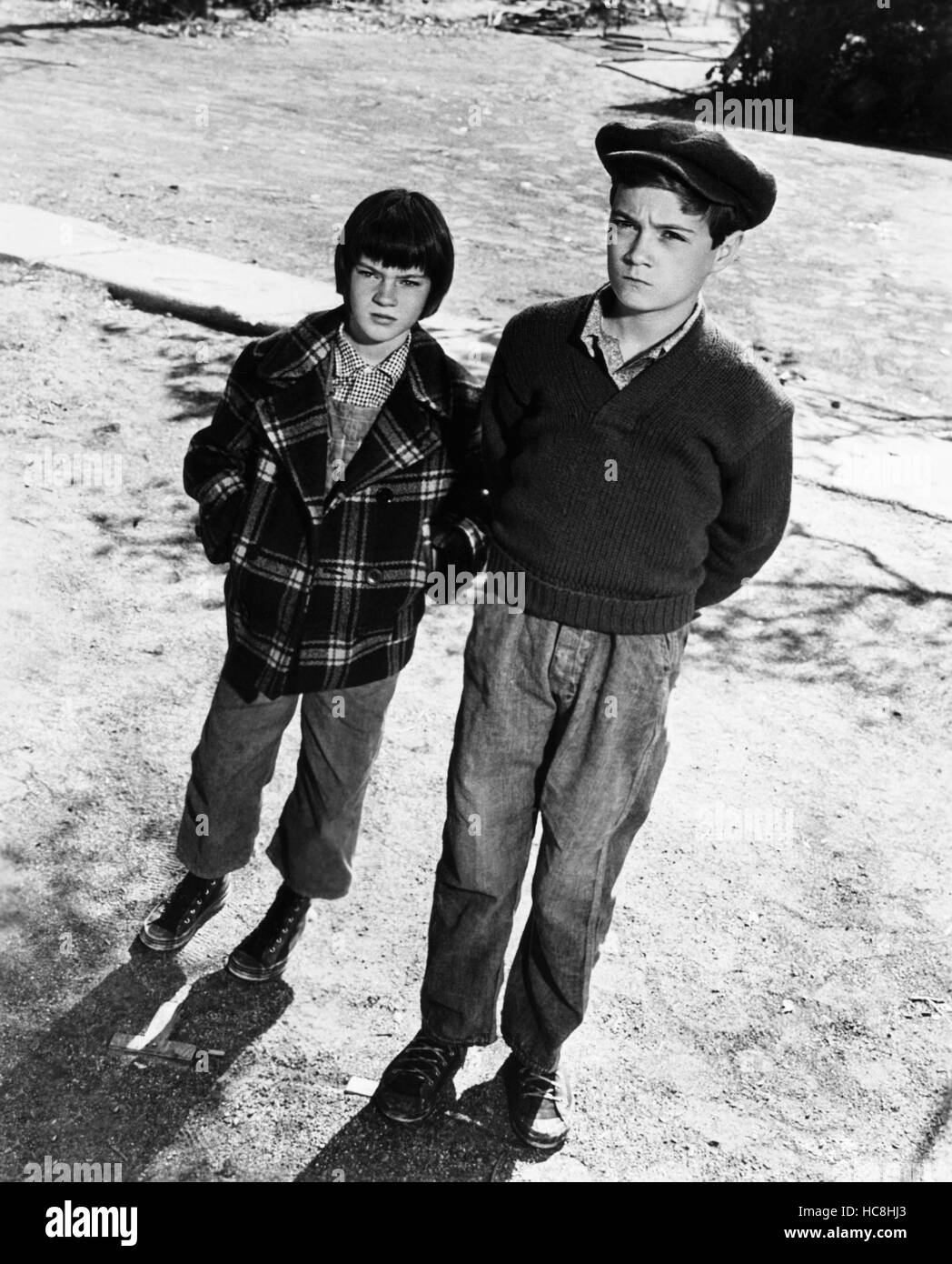 TO KILL A MOCKINGBIRD, from left: Mary Badham, Phillip Alford, 1962 ...