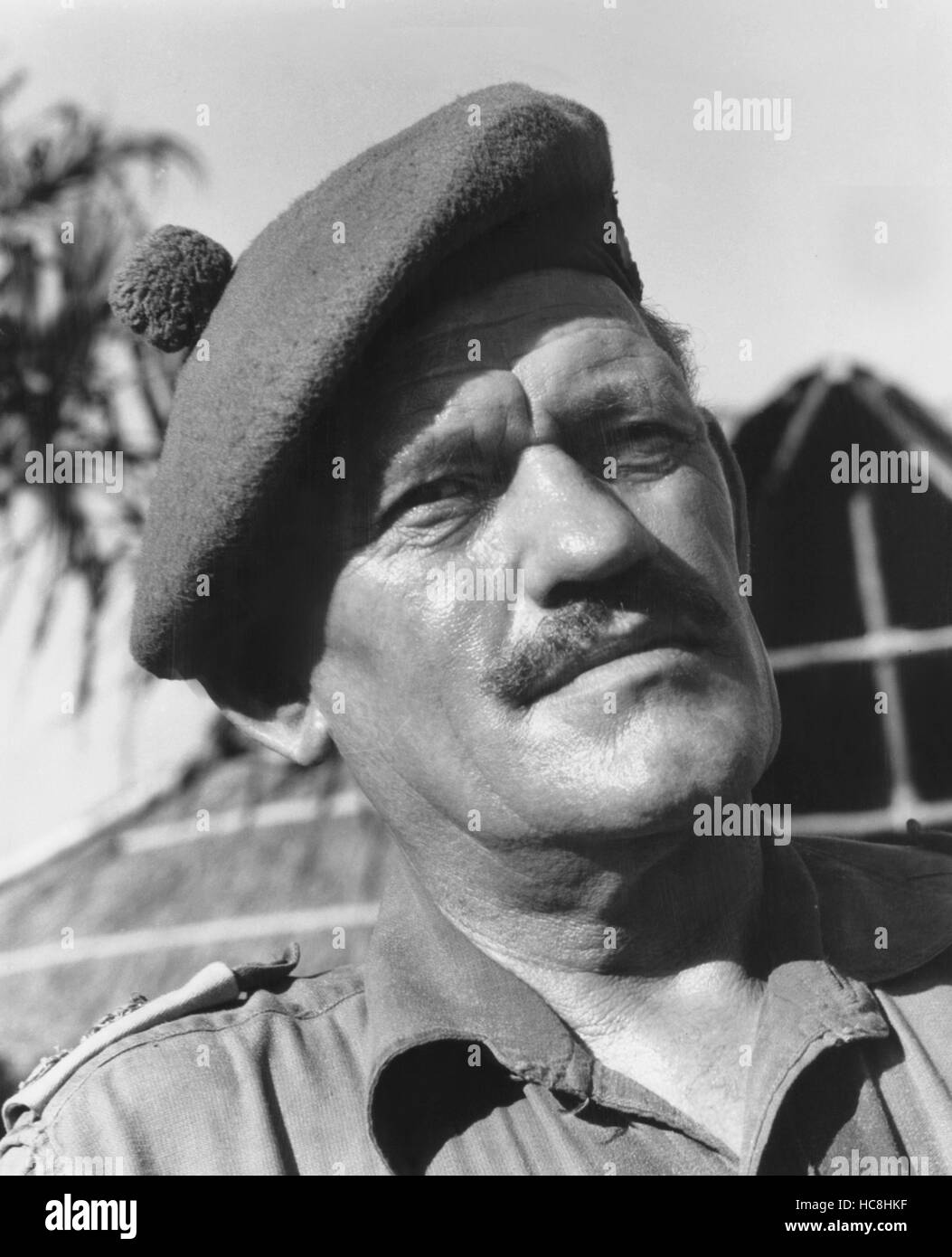 TOO LATE THE HERO, Harry Andrews, 1970 Stock Photo - Alamy