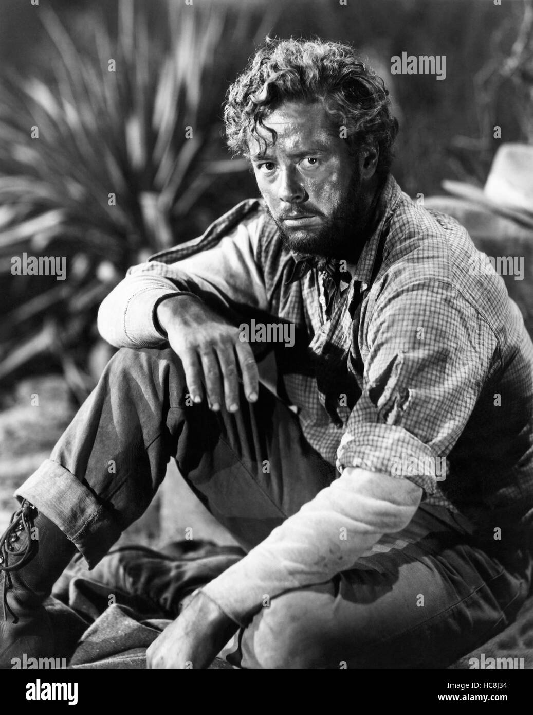 THE TREASURE OF THE SIERRA MADRE, Tim Holt, 1948 Stock Photo - Alamy