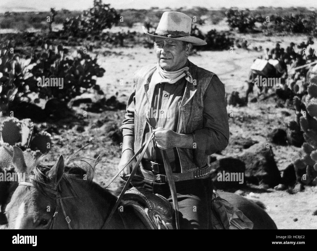 THE TRAIN ROBBERS, John Wayne, 1973 Stock Photo - Alamy