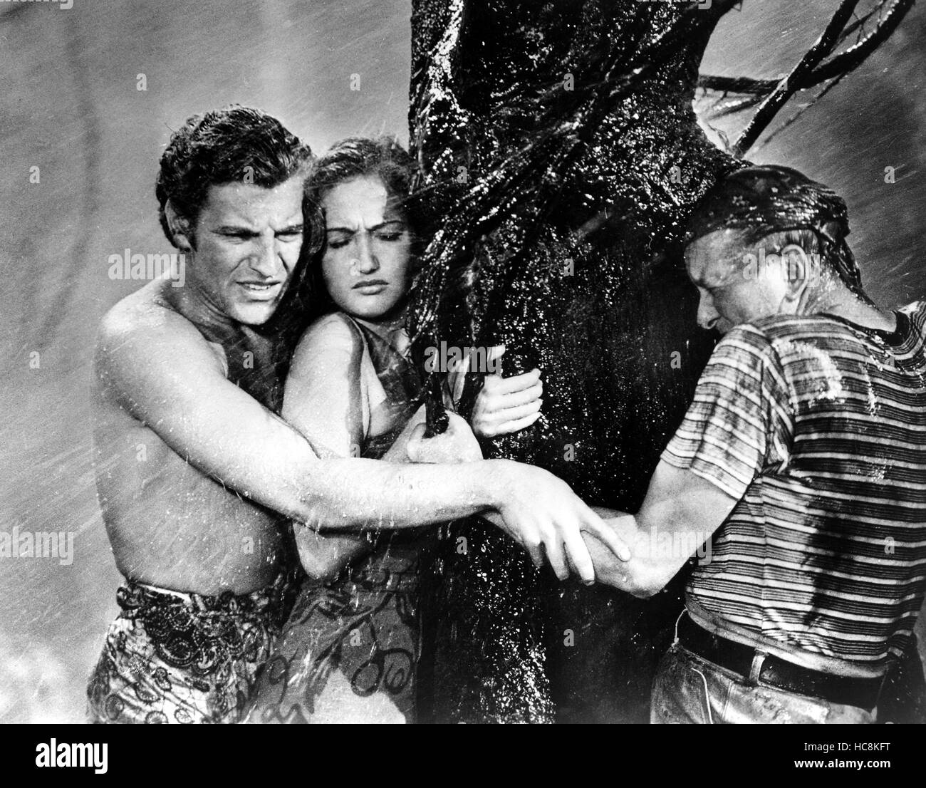 TYPHOON, Robert Preston, Dorothy Lamour, Lynne Overman, 1940 Stock ...