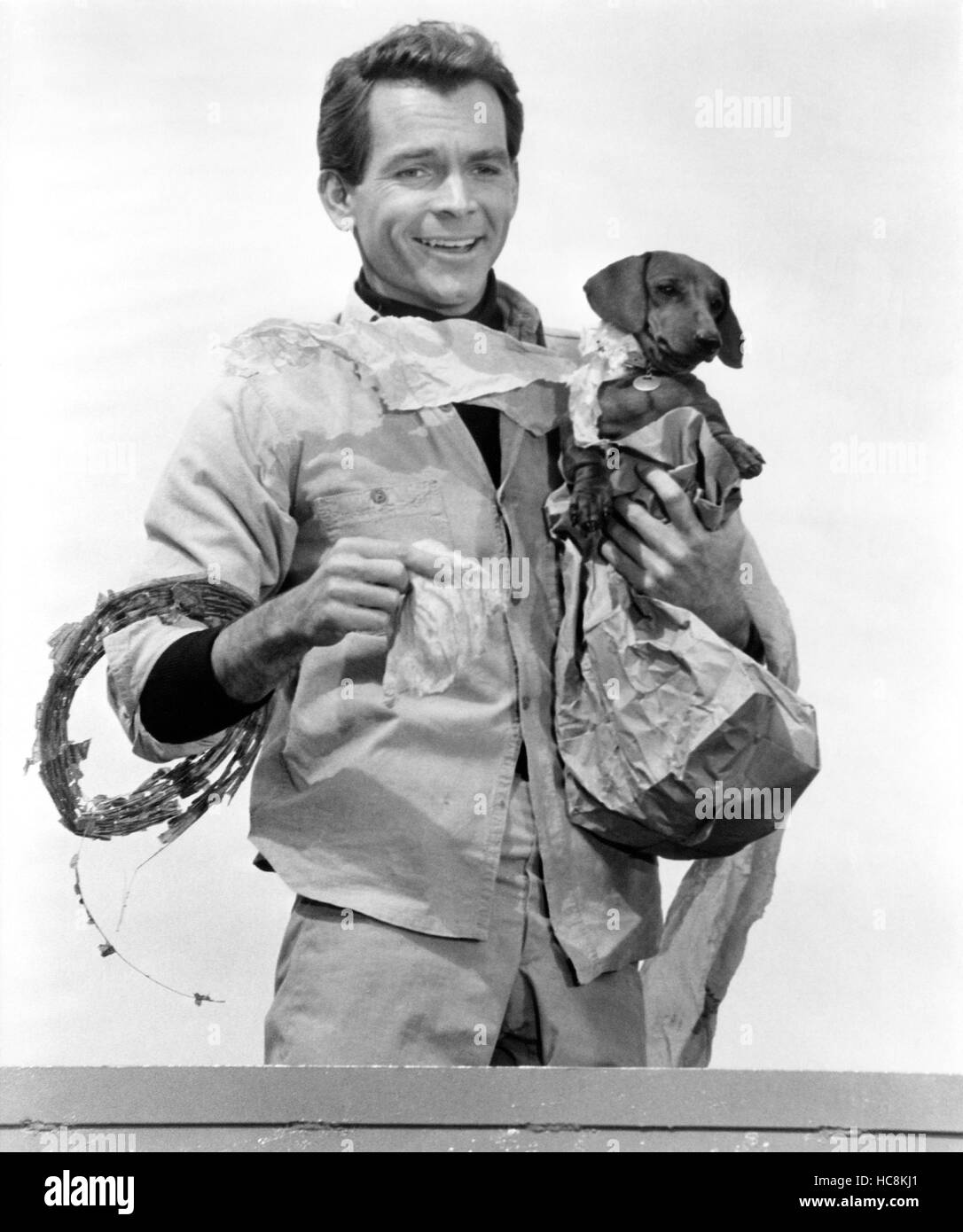 THE UGLY DACHSHUND, Dean Jones, 1966 Stock Photo - Alamy