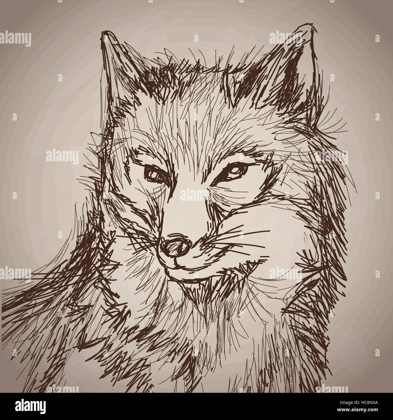 Vintage Fox Head Drawing