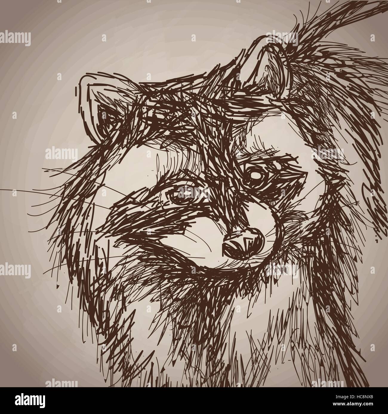 raccoon portrait forest hand drawing vintage Stock Vector Image & Art ...
