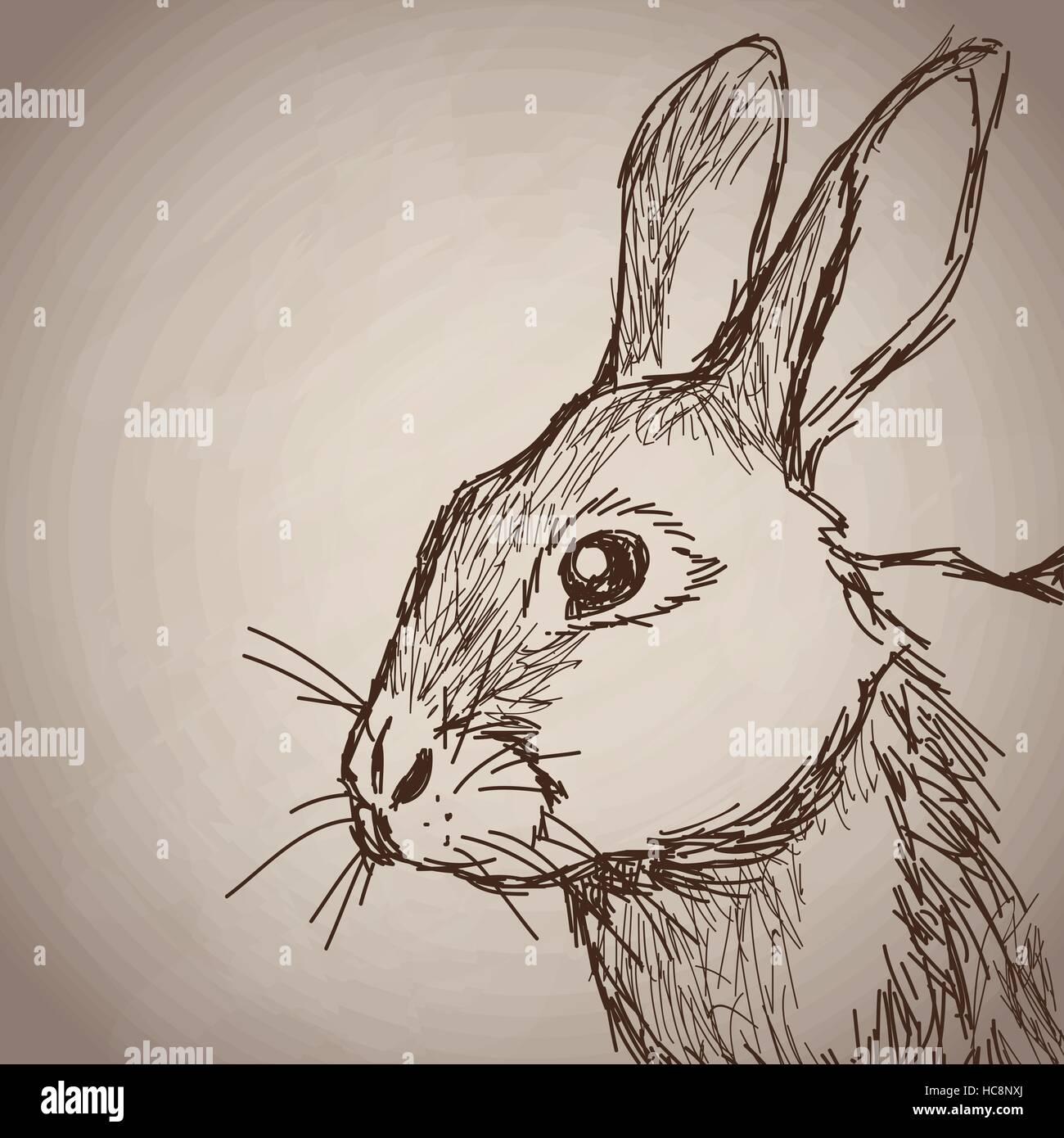 rabbit portrait forest hand drawing vintage Stock Vector Image & Art ...