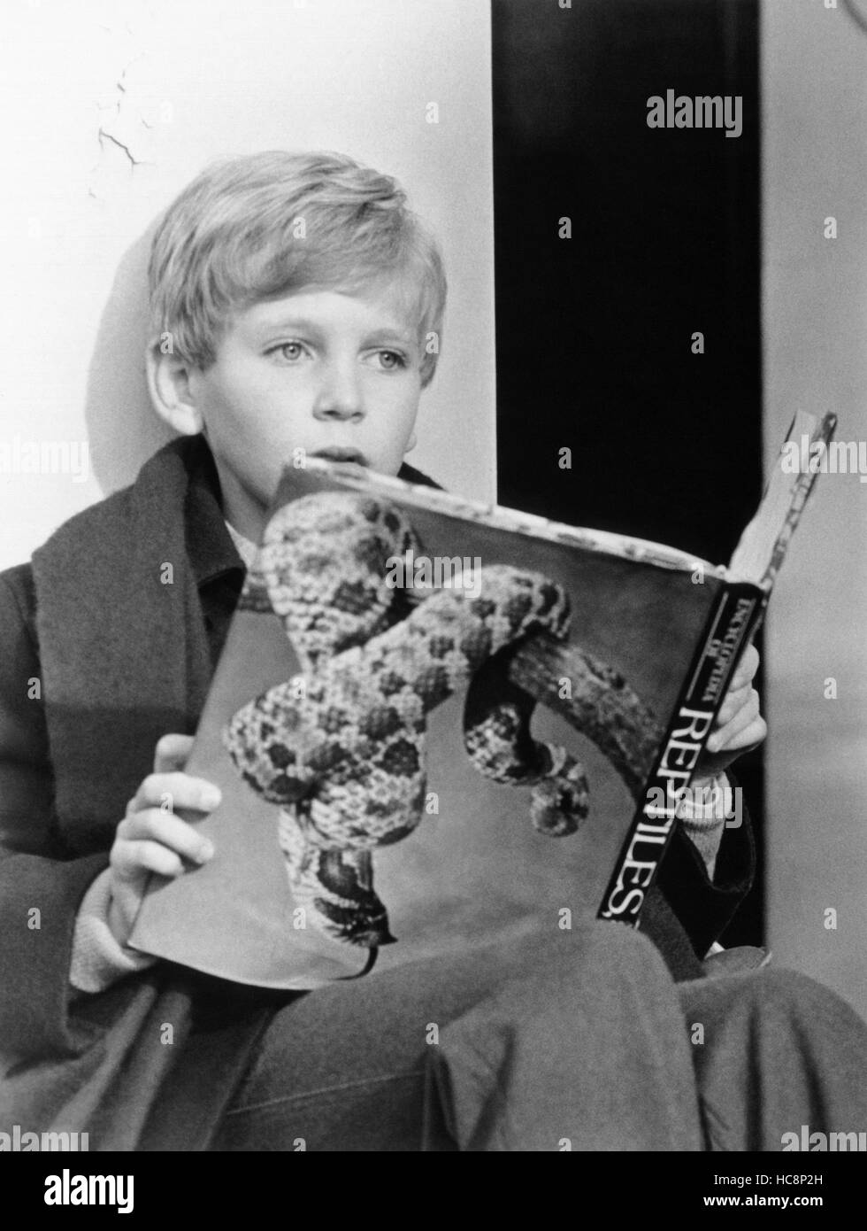 VENOM, Lance Holcomb, 1981, ©Paramount/courtesy Everett Collection ...