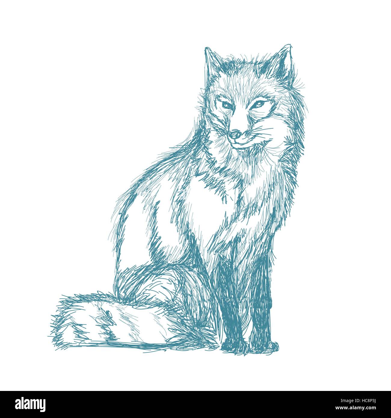 Blue fox graphic Cut Out Stock Images & Pictures - Alamy