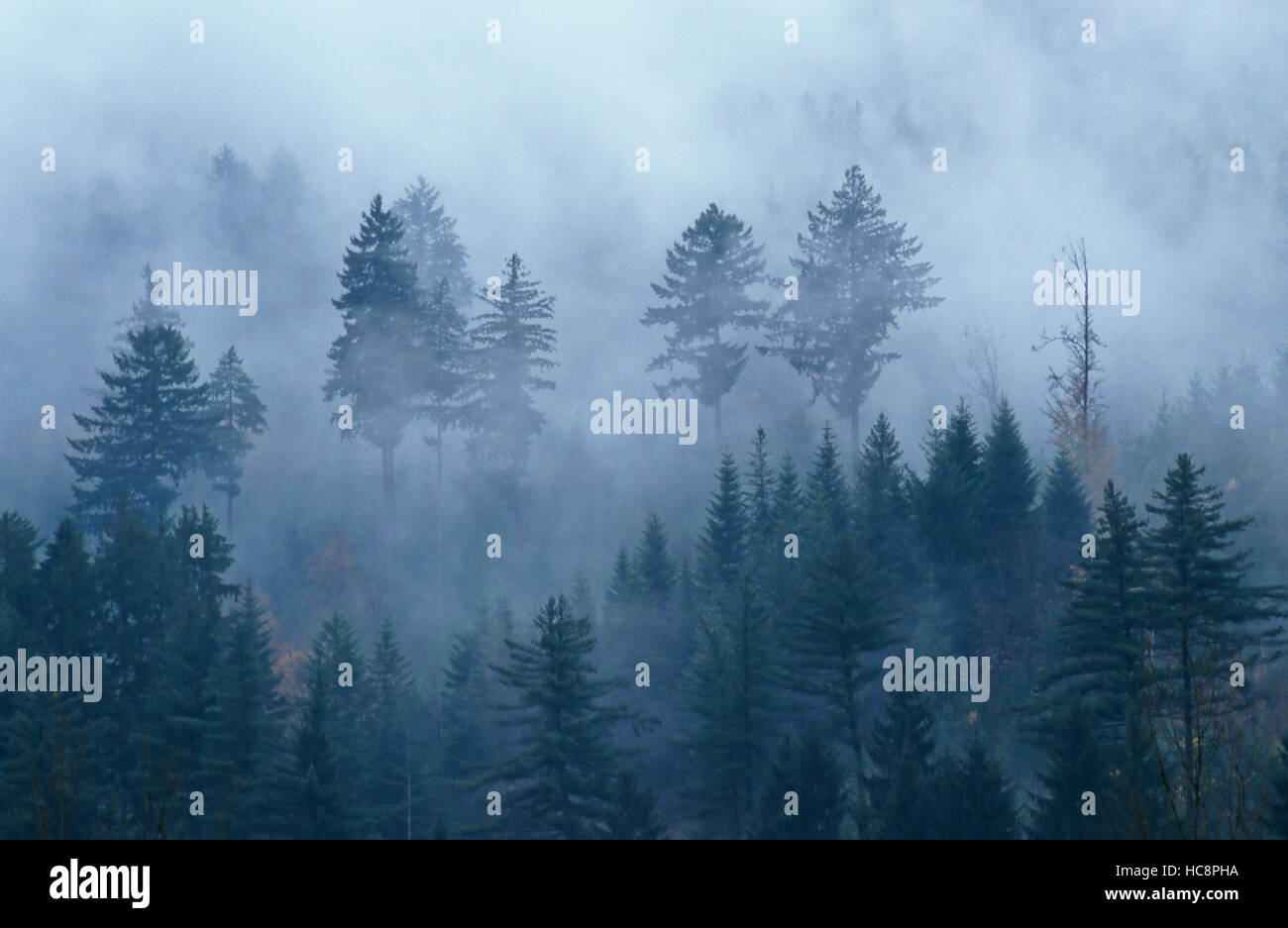 Patches of fog hi-res stock photography and images - Alamy