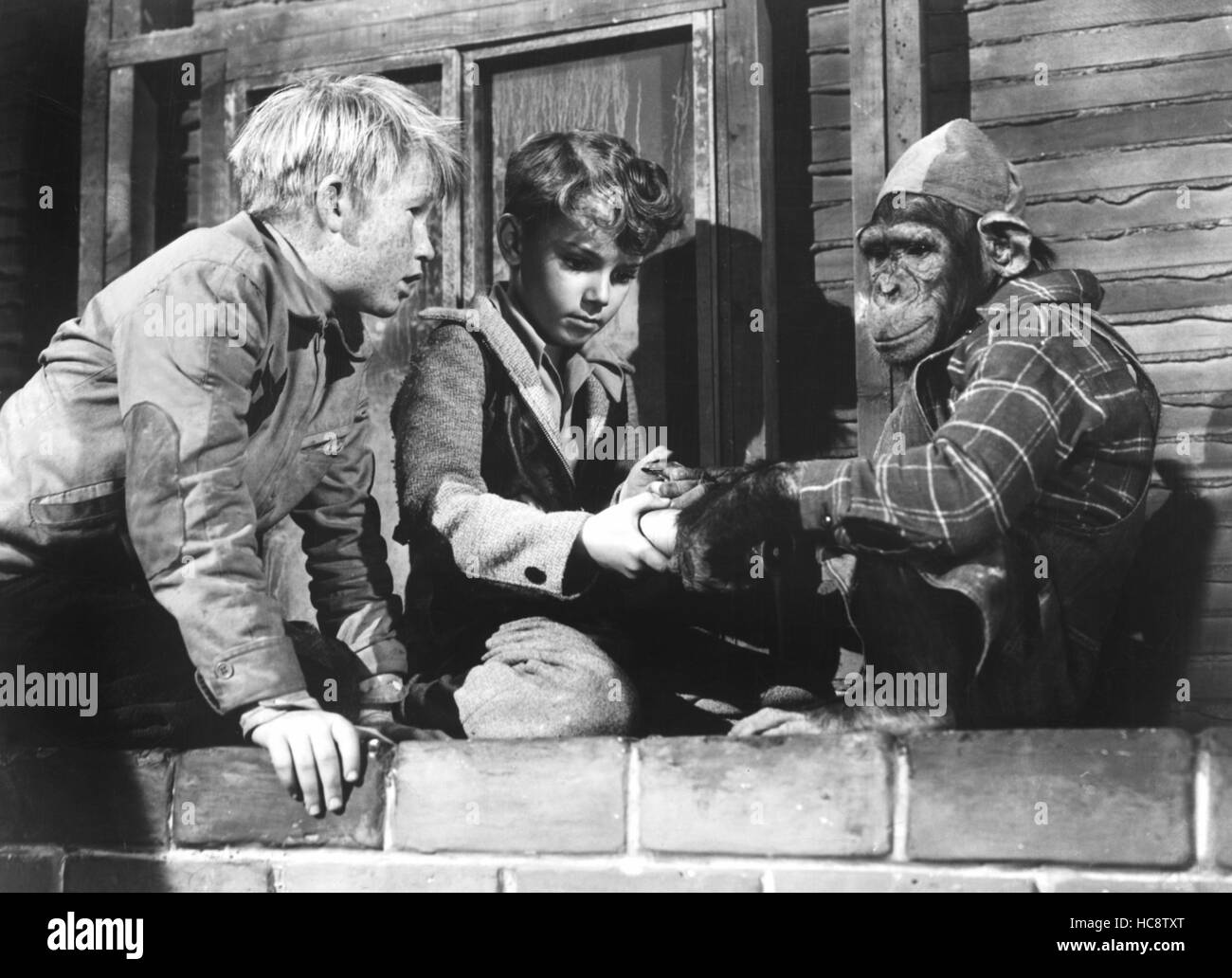 WHO KILLED DOC ROBBIN?, Dale Belding, Peter Miles, 1948 Stock Photo - Alamy