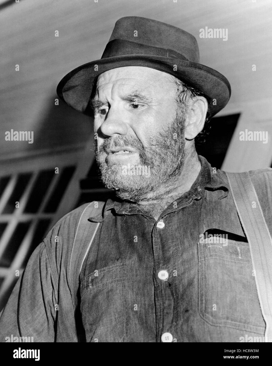 WHITE LIGHTNING, R.G. Armstrong, 1973 Stock Photo - Alamy