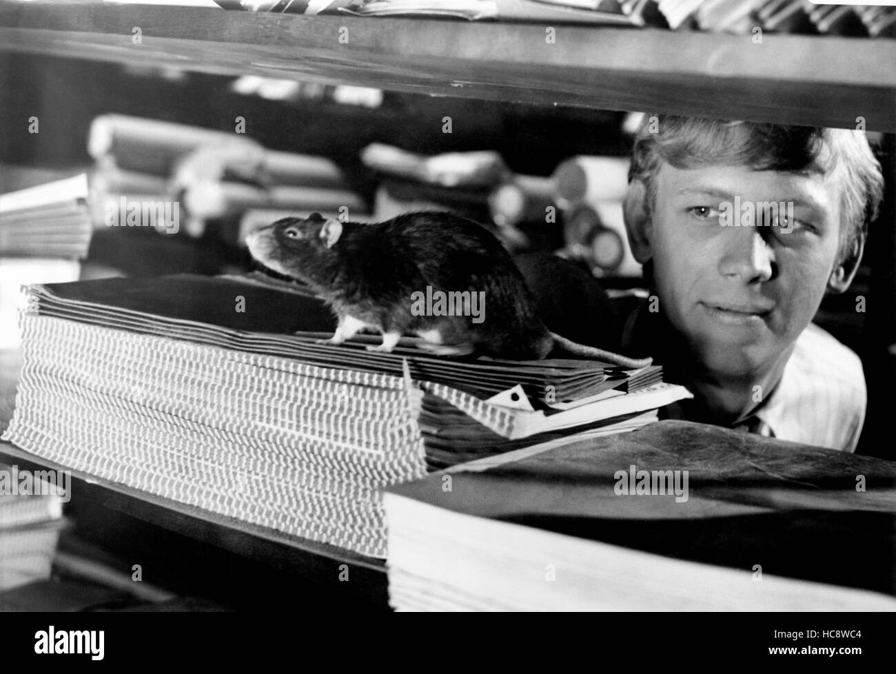 WILLARD, Bruce Davison, 1971 Stock Photo - Alamy