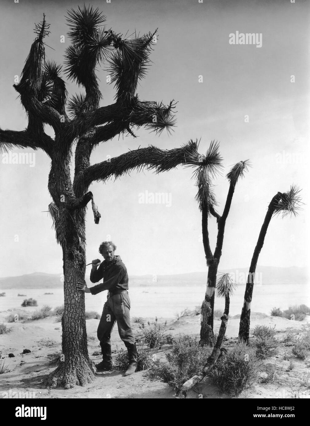 THE WIND, Lars Hanson, 1928 Stock Photo - Alamy
