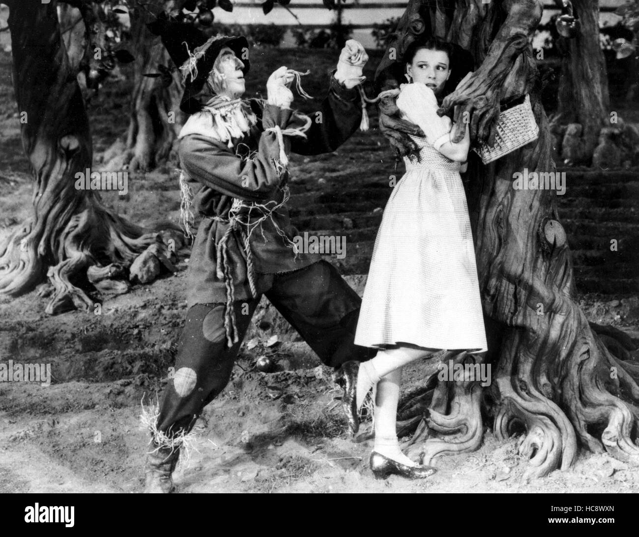 THE WIZARD OF OZ, Ray Bolger tries to protect Judy Garland from a ...