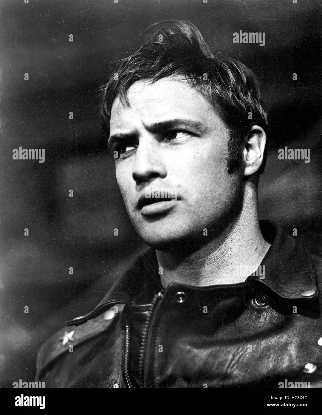 THE WILD ONE, Marlon Brando, 1954 Stock Photo - Alamy