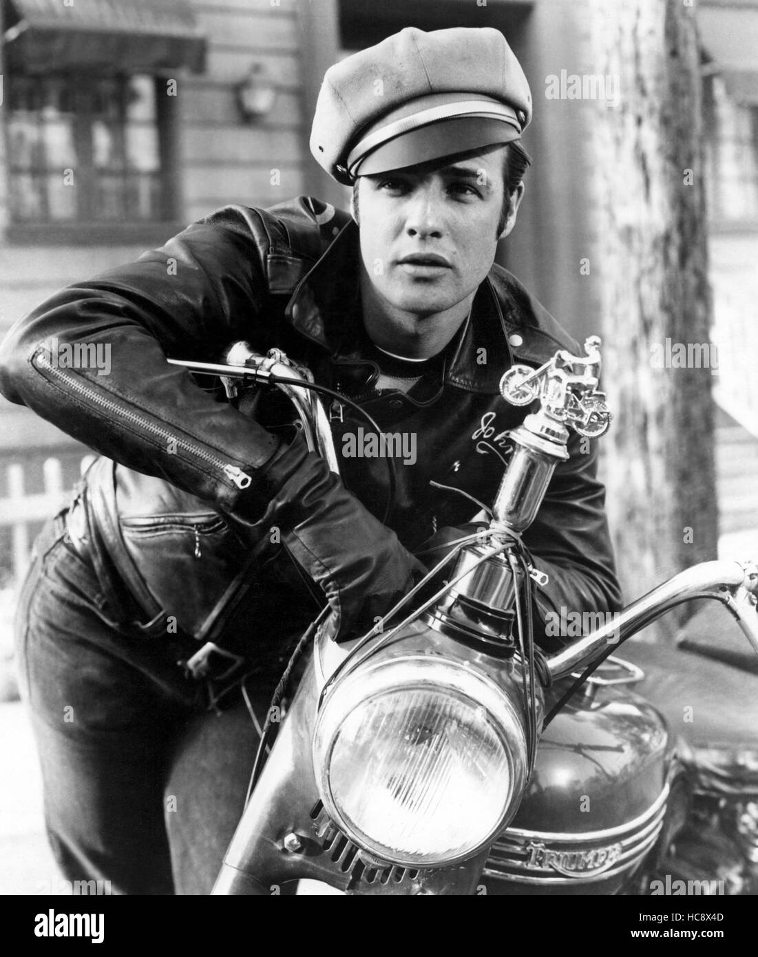 THE WILD ONE, Marlon Brando, 1954, leather jacket Stock Photo - Alamy