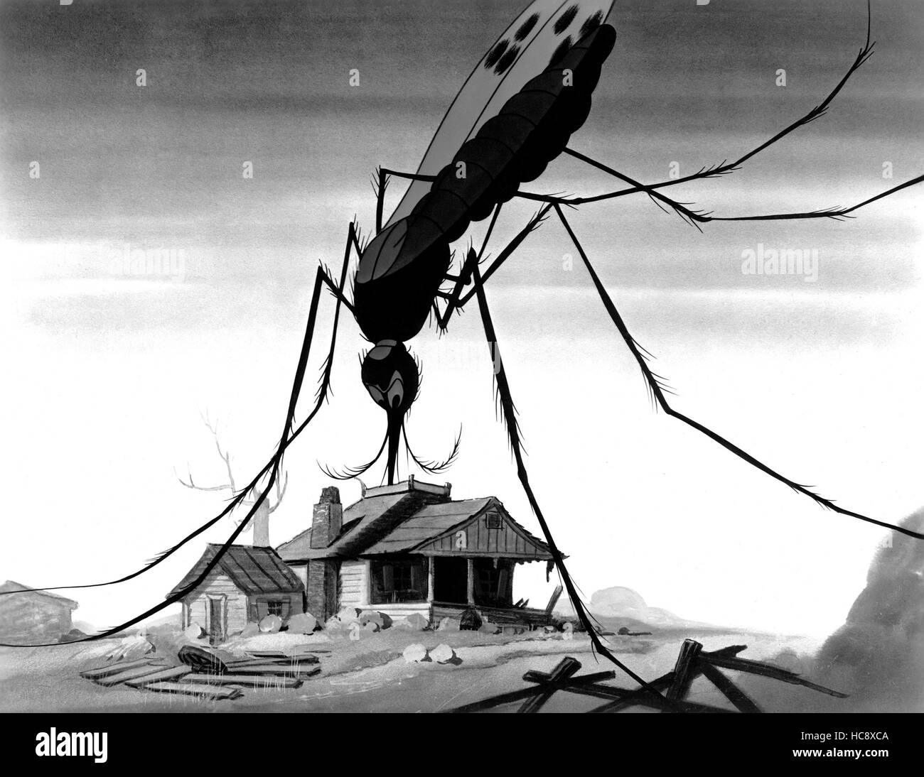 THE WINGED SCOURGE, 1943, © Walt Disney Pictures / Courtesy: Everett ...