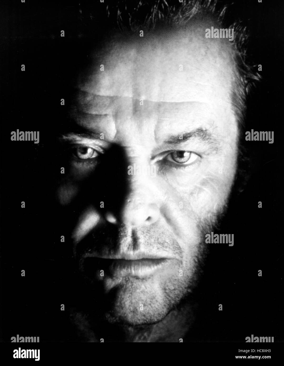 WOLF, Jack Nicholson, 1994, ©Columbia/courtesy Everett Collection Stock ...
