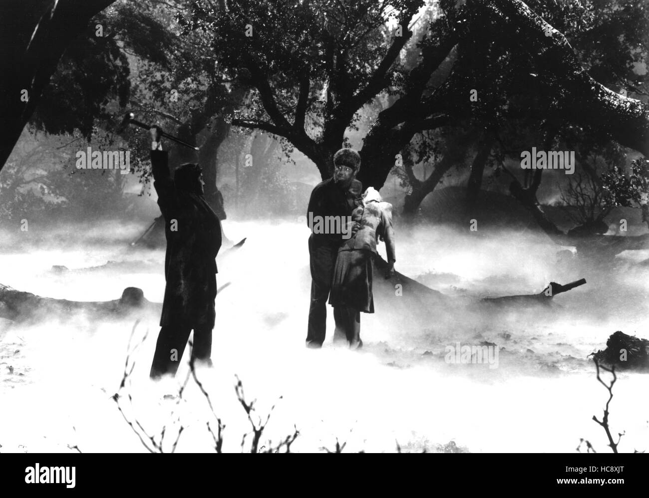 THE WOLF MAN, Claude Rains, Lon Chaney, Jr., Evelyn Ankers, 1941 Stock ...